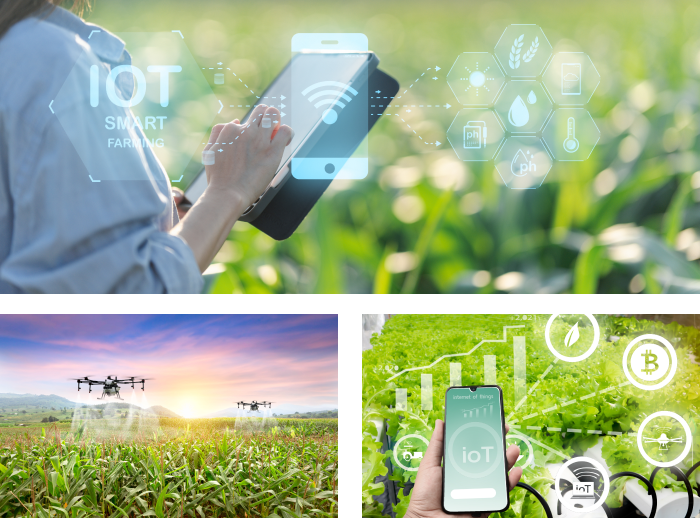 事業領域- IIJ IoTビジネスポータル